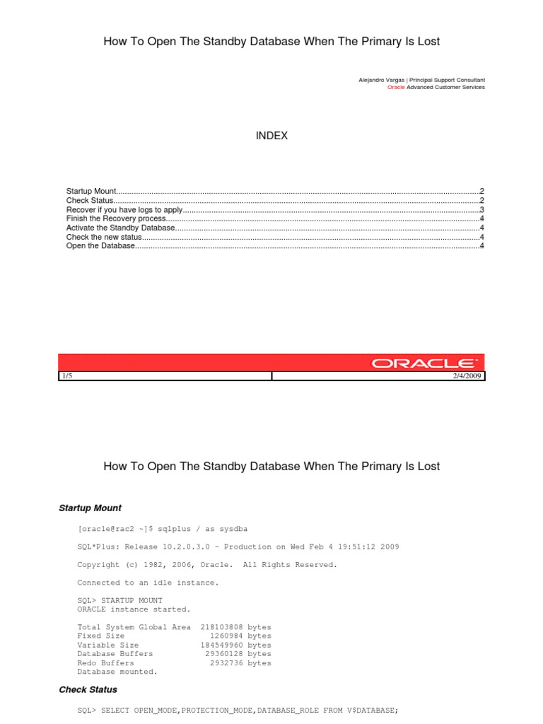 How To Open The Standby When The Primary Is Lost | PDF | Oracle ...