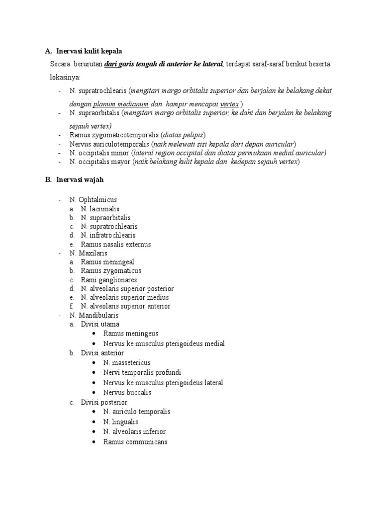 Inervasi Saraf Leher dan Kulit Kepala | PDF
