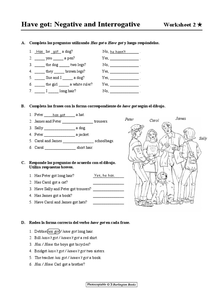 Have Got: Negative and Interrogative: Worksheet 2 | PDF