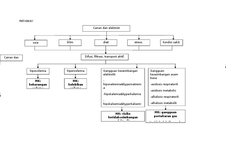 Pathway Cairan Dan Elektrolit