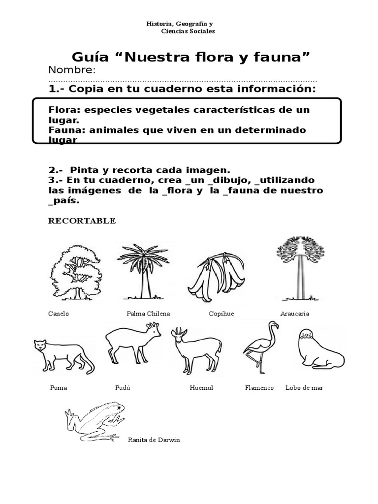 Nuestra Flora y Fauna" | PDF