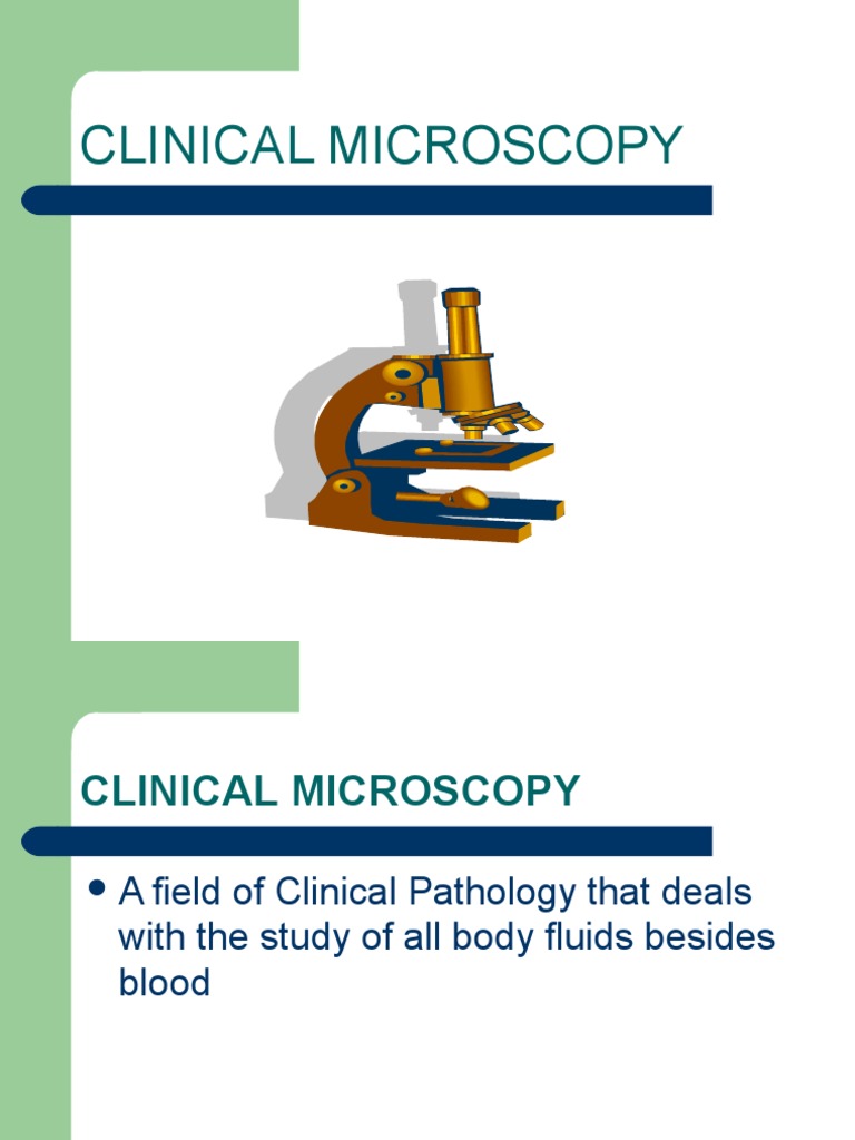 Review in Clinical Micros | PDF | Renal Function | Kidney