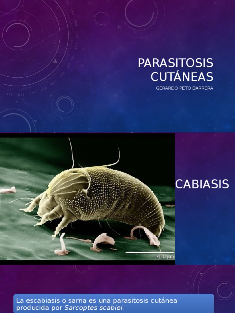 Parasitosis Cutáneas | PDF | Especialidades Medicas | Medicina CLINICA
