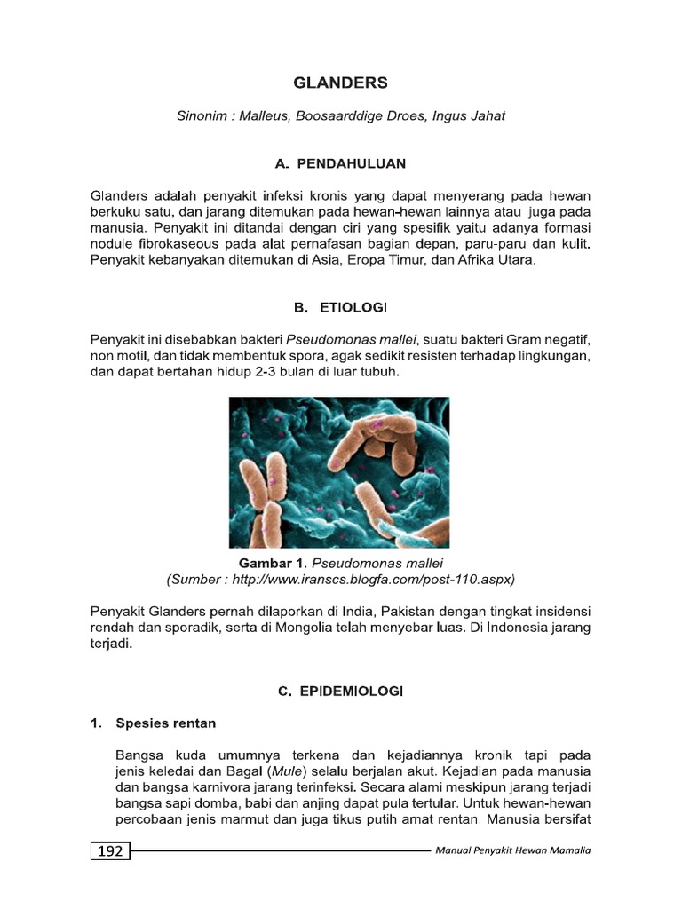 Penyakit Glanders | PDF
