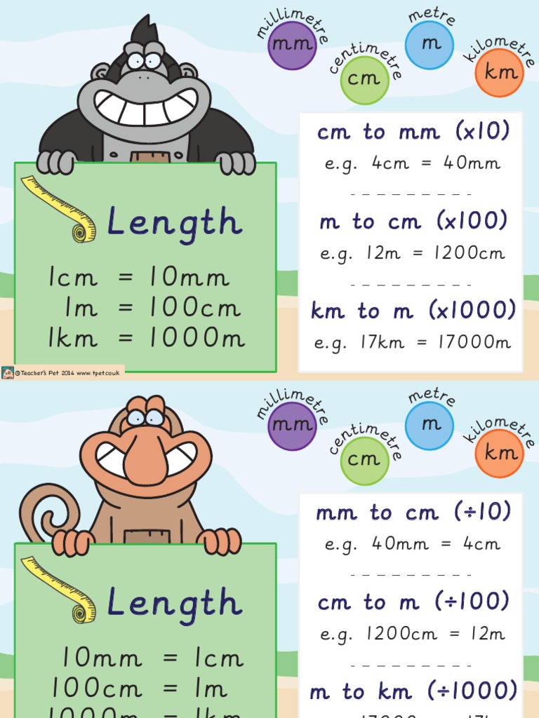 Basic Measurement Poster | PDF