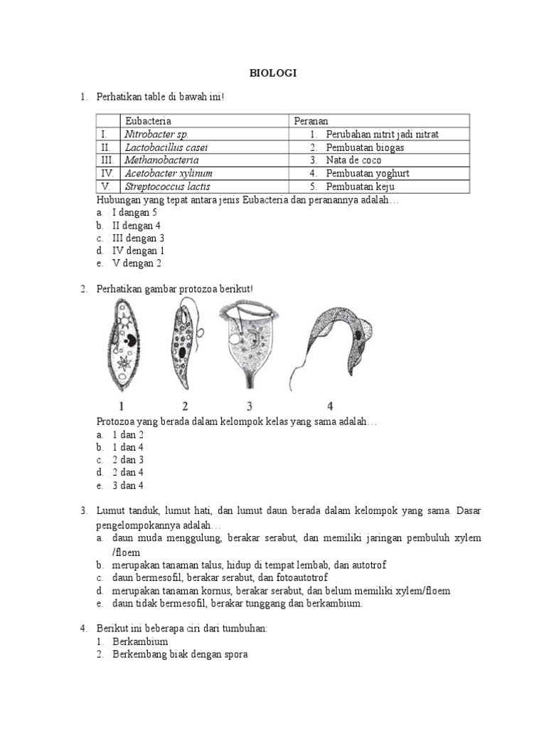 Soal Latihan Biologi | PDF