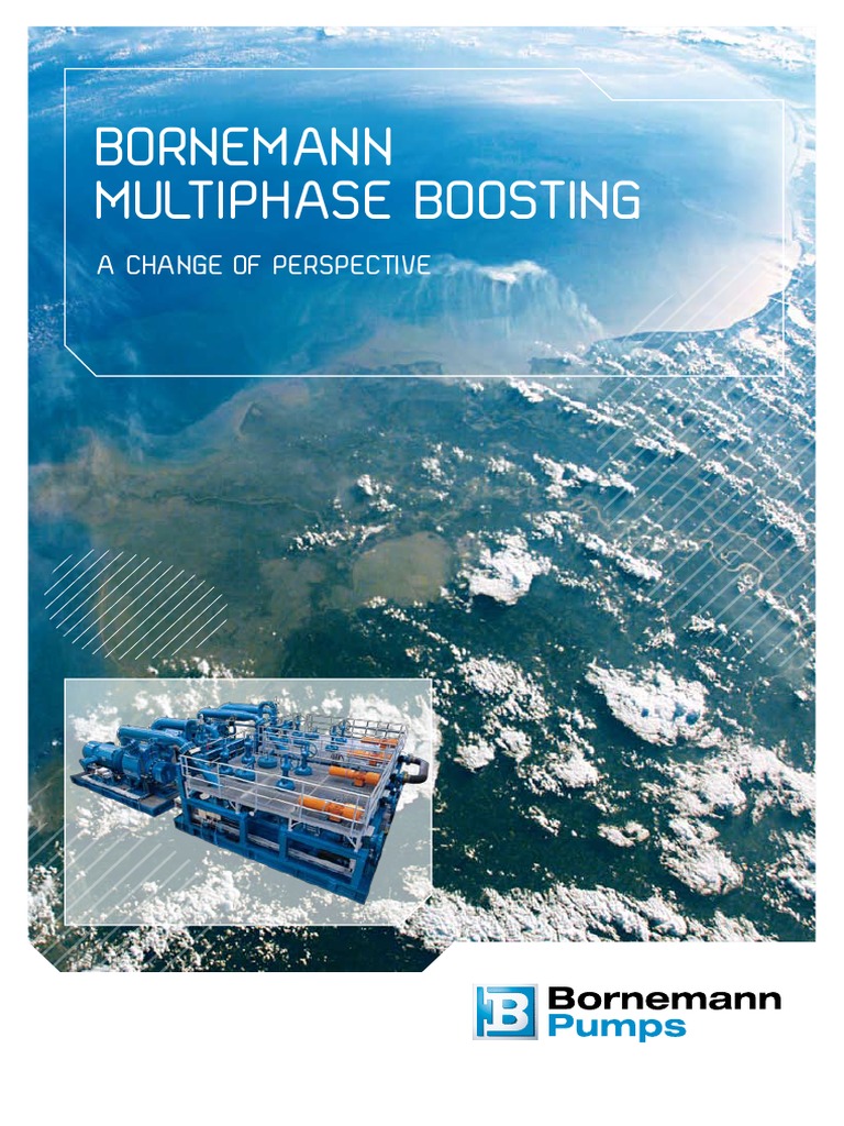 Bornemann Multiphase | PDF | Pump | Petroleum Reservoir