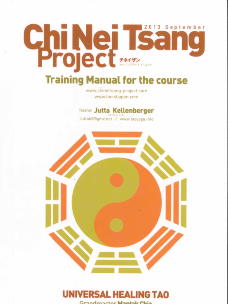 Chi Nei Tsang Abdominal Detox Massage Japan Language Pdf