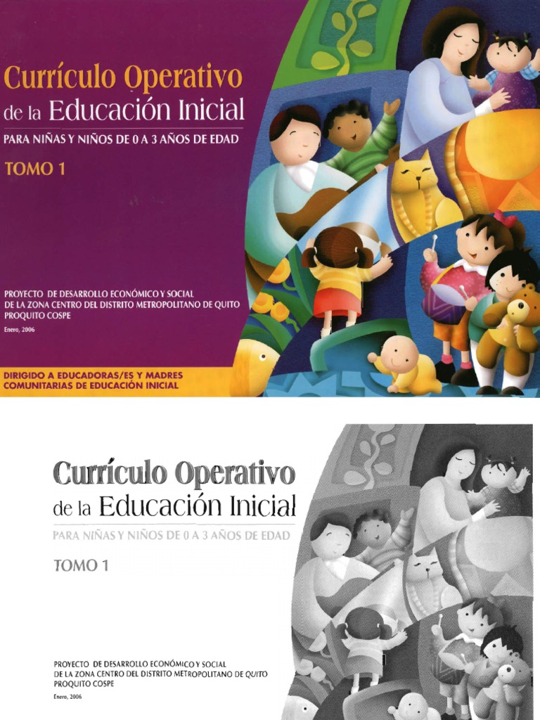 Curriculo Intermedio 0 A 3 Años para La Educacion Inicial PDF | PDF