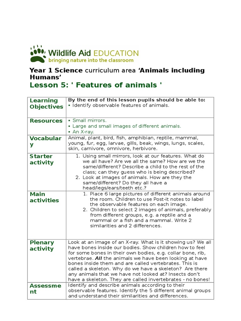Animals Year 1 Lesson 5 | PDF