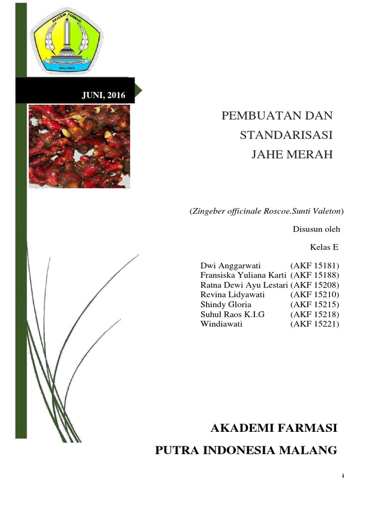 Pembuatan Dan Standarisasi Simplisia Rimpang Jahe Merah | PDF