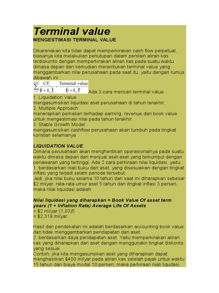 Terminal Value | PDF