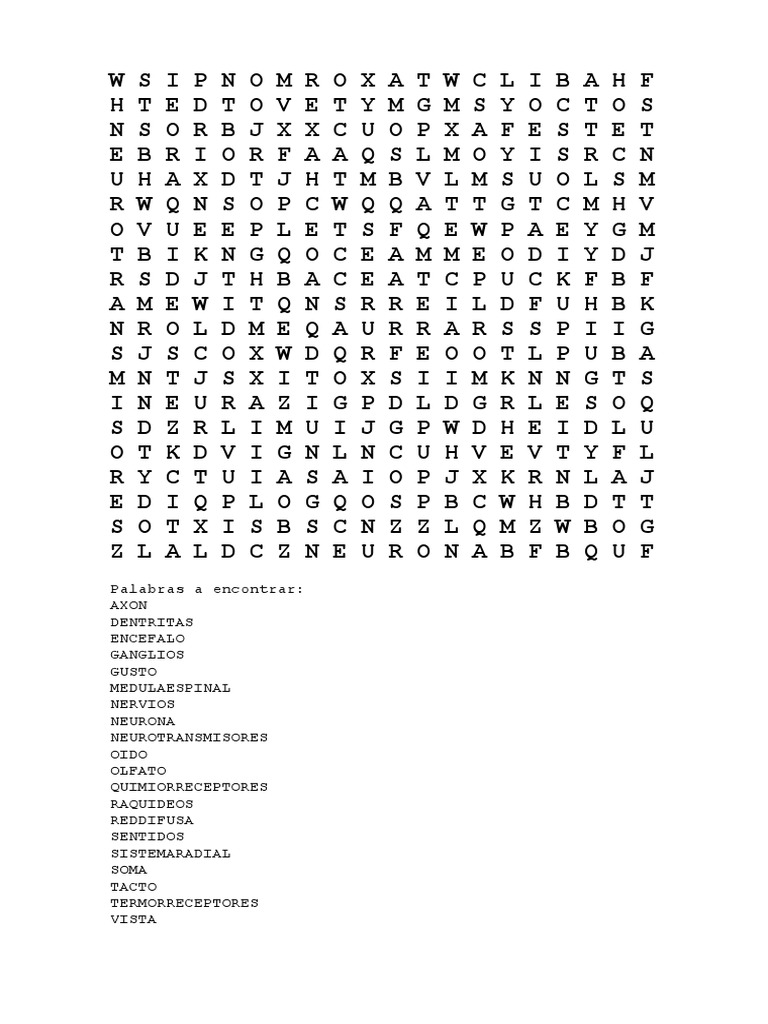 Sopa de Letras Sistema Nervioso | PDF