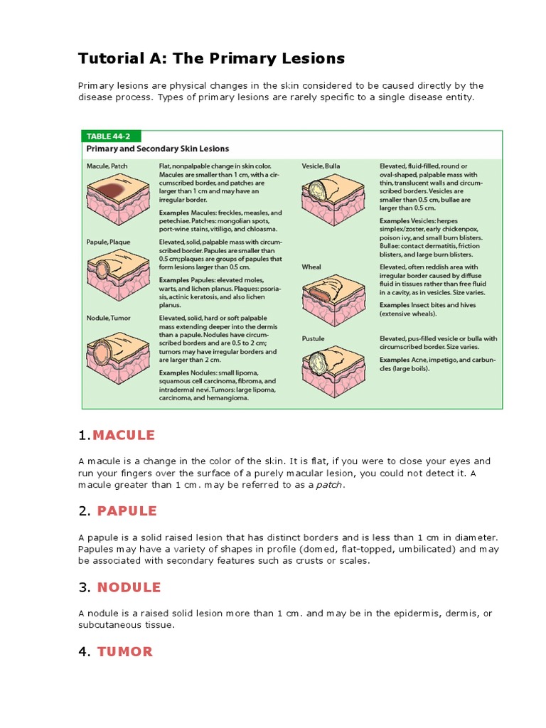 Primary and Secondary Lesions | PDF | Cutaneous Conditions | Skin