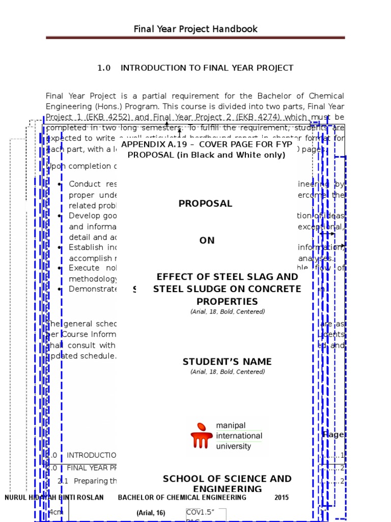 Final Year Project Handbook | PDF | Literature Review | Engineering