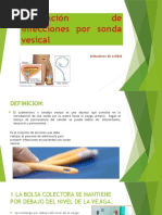 Cistoclisis: Técnica y Cuidados Esenciales | PDF | Especialidades ...
