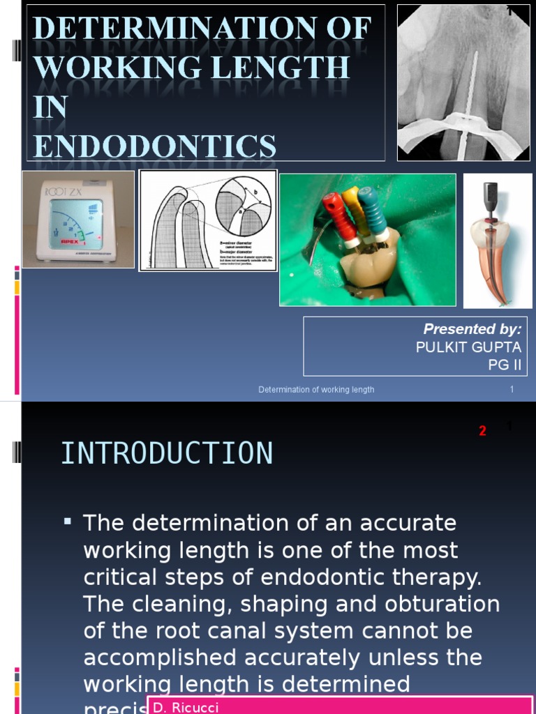 Determination of Working Length | PDF | Nature