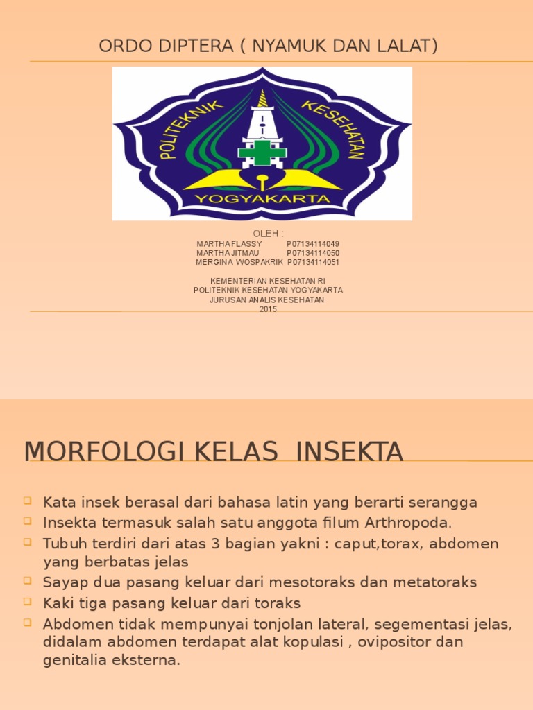 Kelas Insekta Nyamuk Dan Lalat | PDF