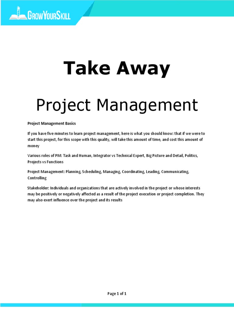 Project Management | PDF