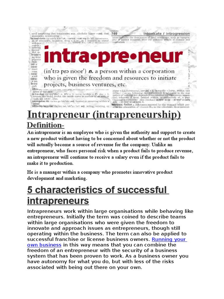 Intrapreneur (Intrapreneurship) : 5 Characteristics of Successful ...