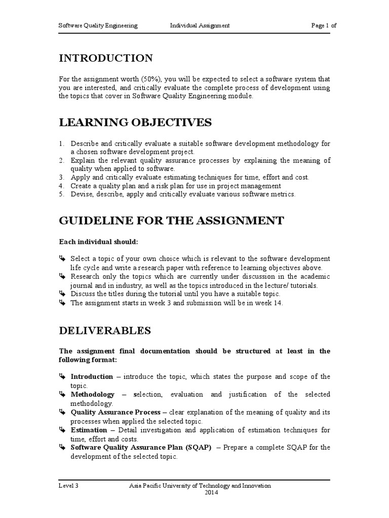 Individual Assignment Level 3 SQE | PDF | Software Development Process | Software Development