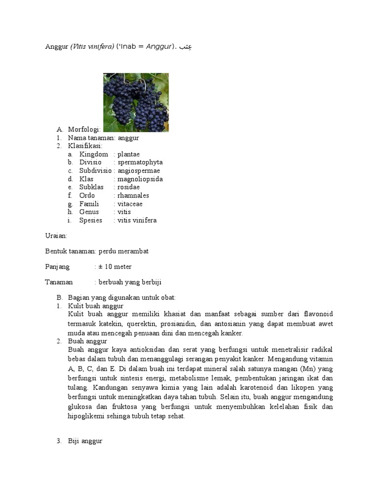 Anggur | PDF