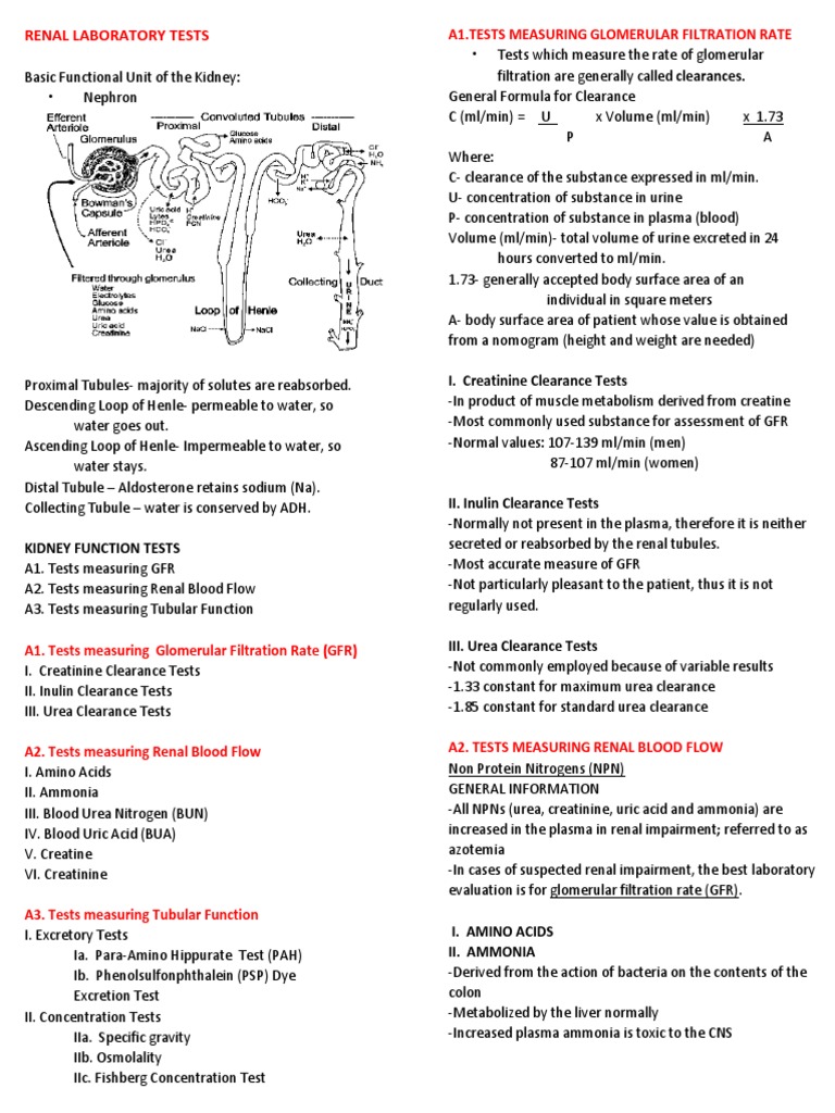 Renal Laboratory Tests | PDF | Renal Function | Creatinine