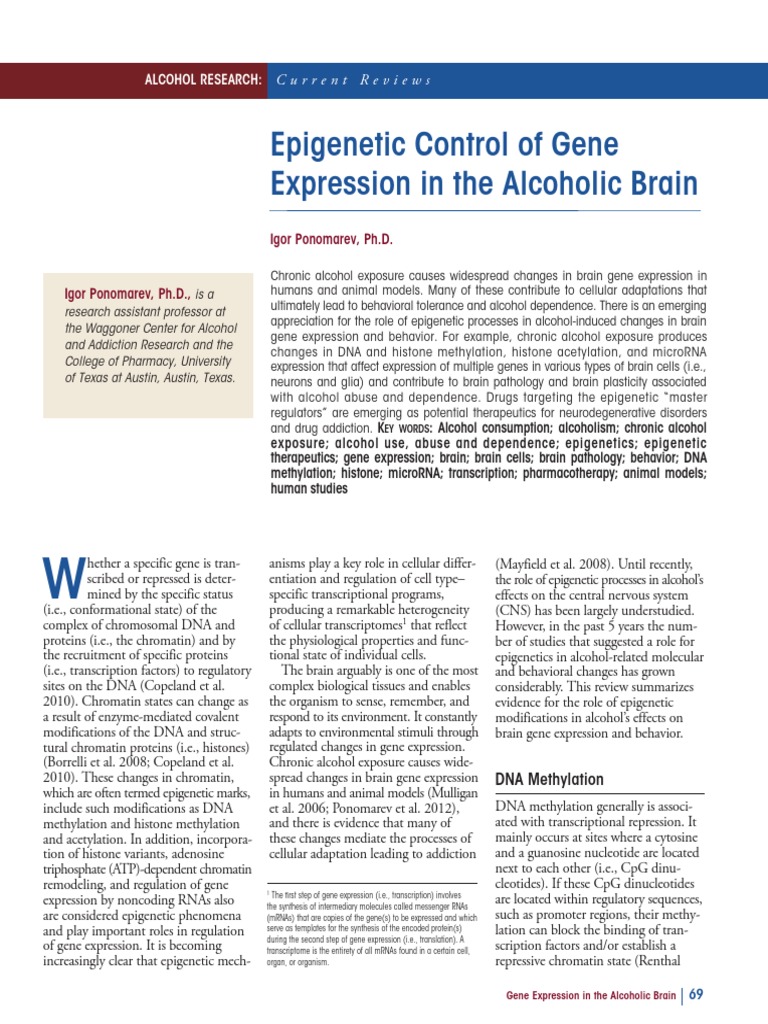 Articulo Alcohol y Genes | PDF | Epigenetics | Dna Methylation