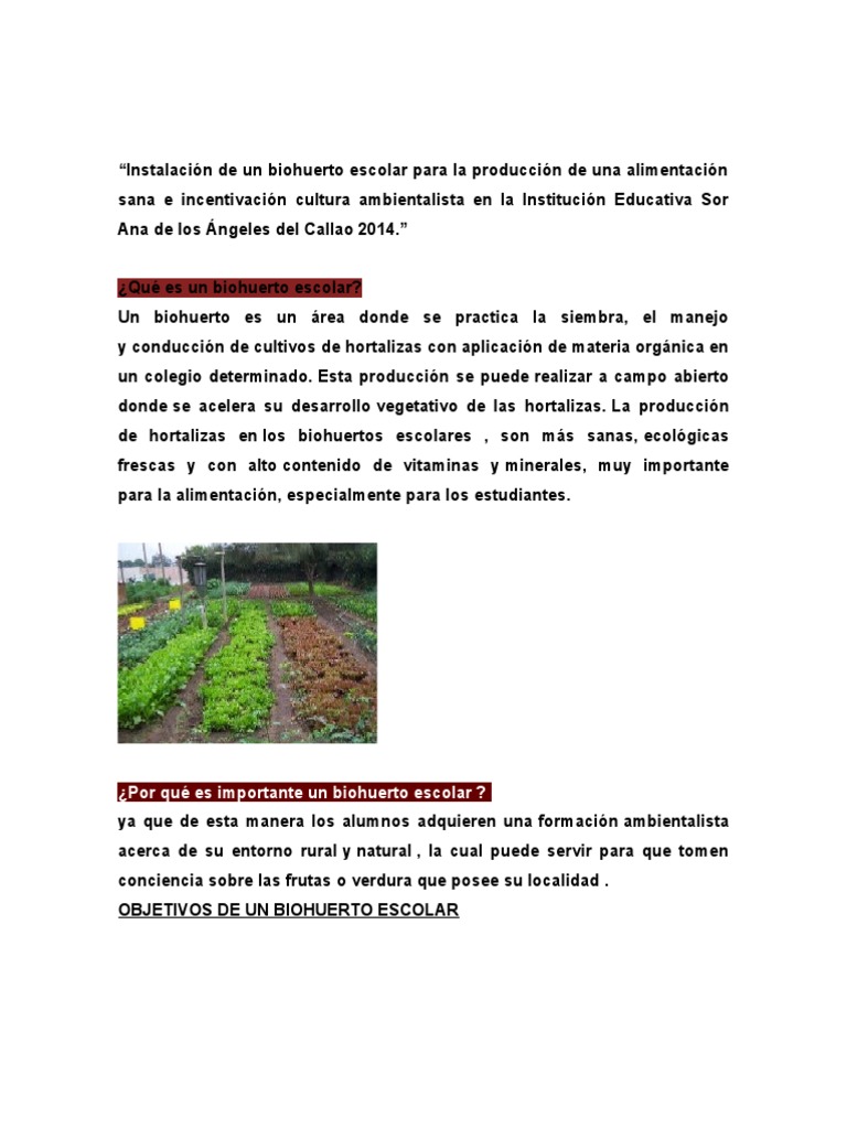 Bio Huerto | Descargar gratis PDF | Agricultura | Sustentabilidad