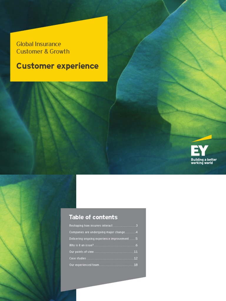 EY Customer and Growth Capabilities Customer Experience | PDF ...