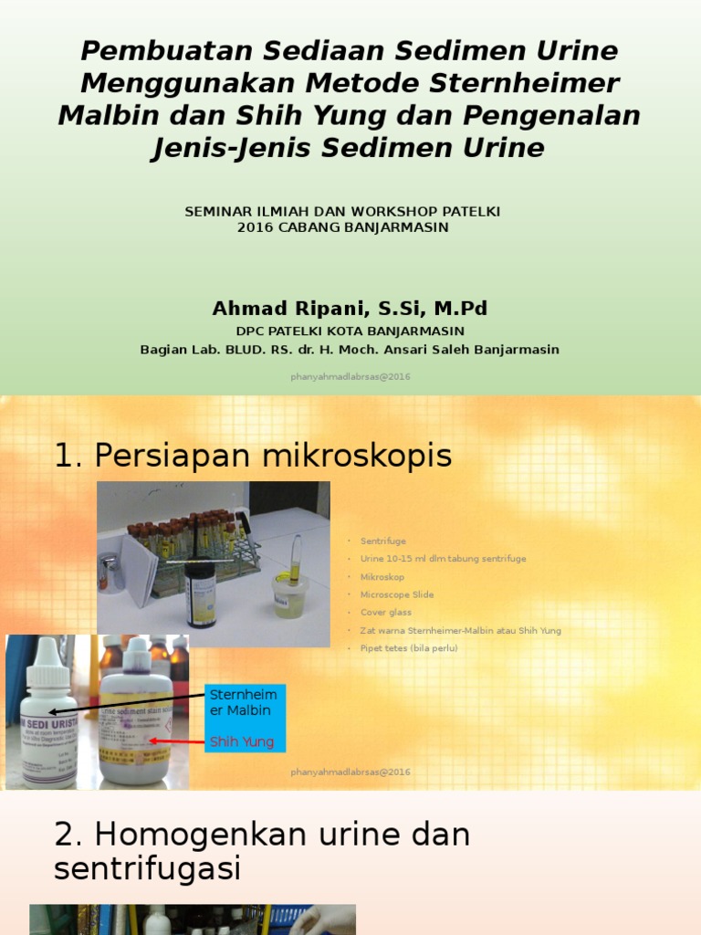 Pembuatan Sedimen Urine Staining | PDF
