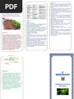 Triptico Mentol Casero | PDF | Petróleo | Resfriado comun