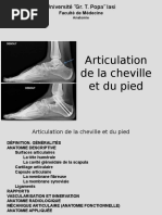 Radiographie de la cheville et du pied | PDF | Pied | Système squelettique