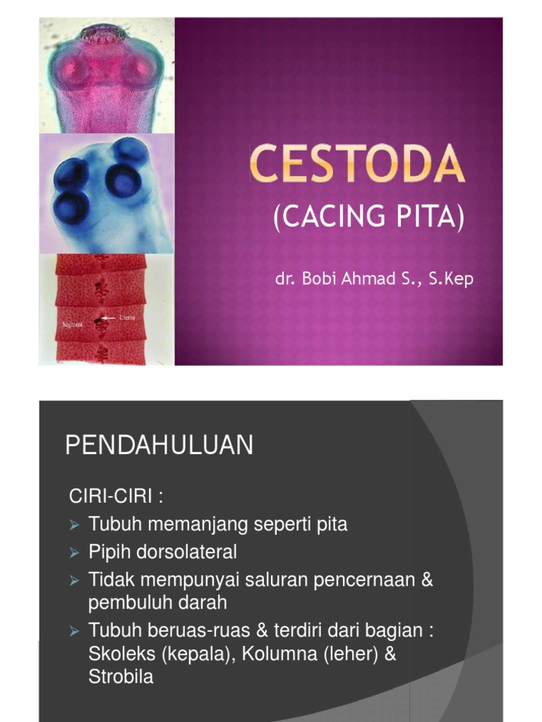 Ciri dan Penggolongan Cacing Pita | PDF