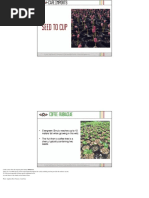 Introduction To Coffee Pdf Coffee Plants