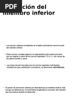 Guia Escala de ASIA PDF | PDF | Sistema musculoesquelético | Sistema ...
