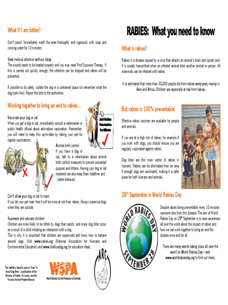 Rabies Public Leaflet Eng | PDF | Rabies | Dogs