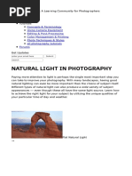 Cyanotype Worksheet | PDF | Art Media | Vision