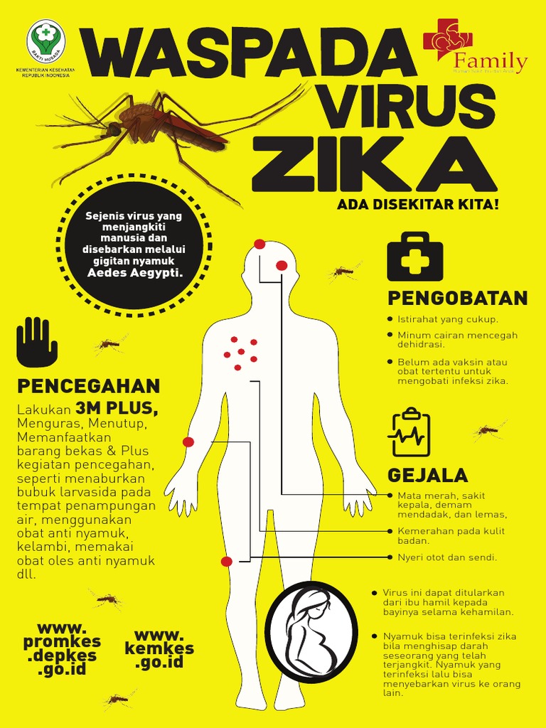 Poster Zika New | PDF