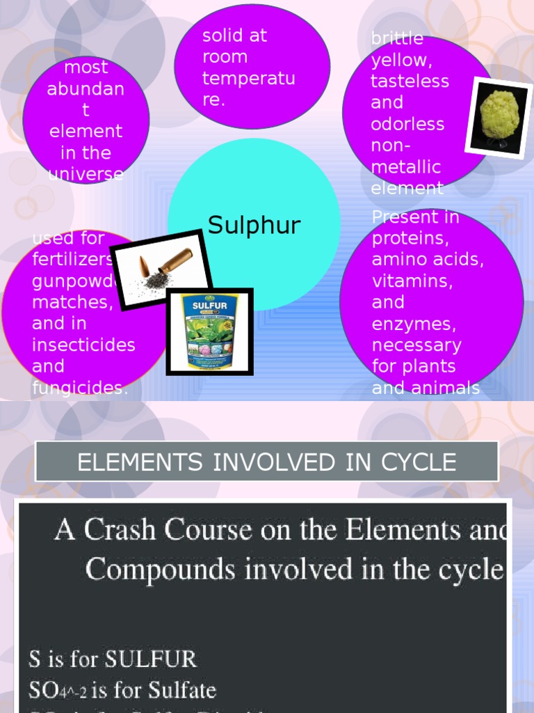 Sulphur Cycle | PDF