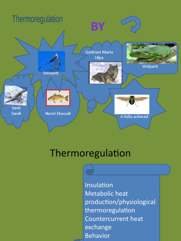 Qadriani Maria Ulpa Widyarti | PDF | Thermoregulation | Mammals