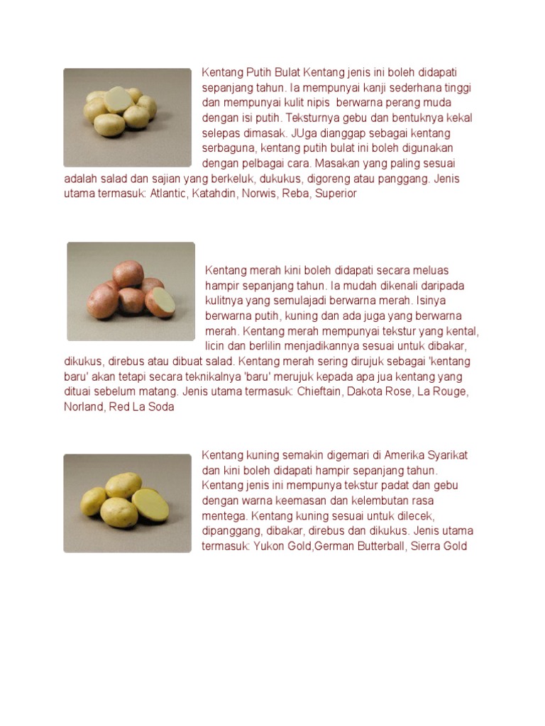 Jenis Kentang | PDF
