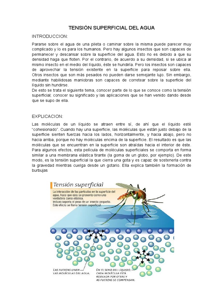 Tensión Superficial del Agua: Conceptos Clave | PDF | Líquidos ...