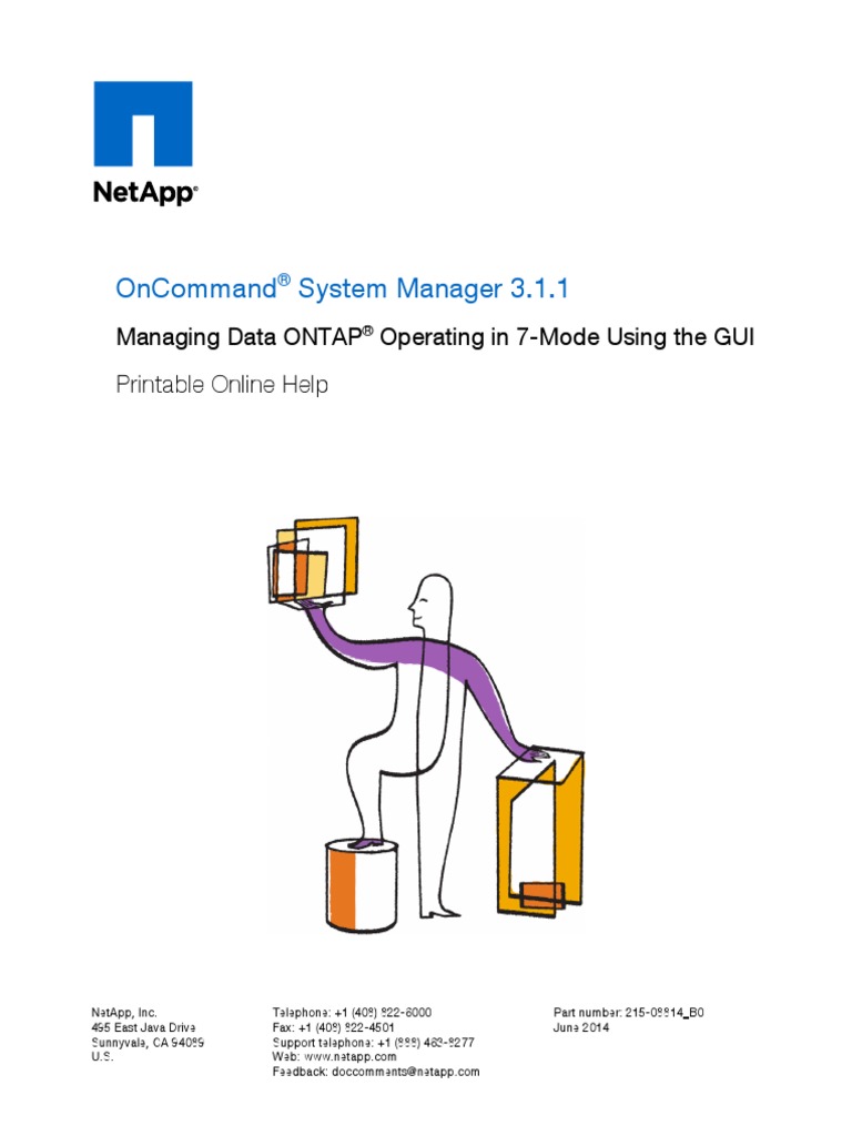 OnCommand System Manager 3.1.1 | PDF | Icon (Computing) | Domain Name ...