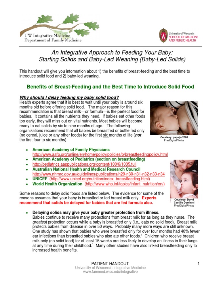 Handout Baby-Led Weaning | PDF | Breastfeeding | Breast Milk