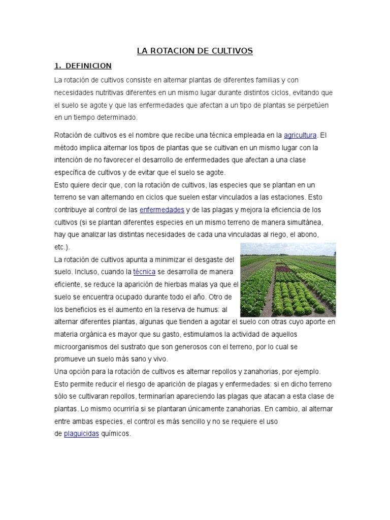 La Rotacion de Cultivos | PDF | La rotación de cultivos | Agricultura