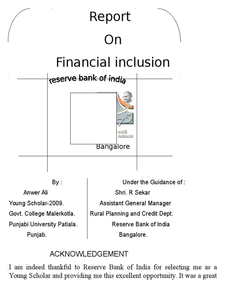Financial Inclusion Report: Bangalore Insights | PDF