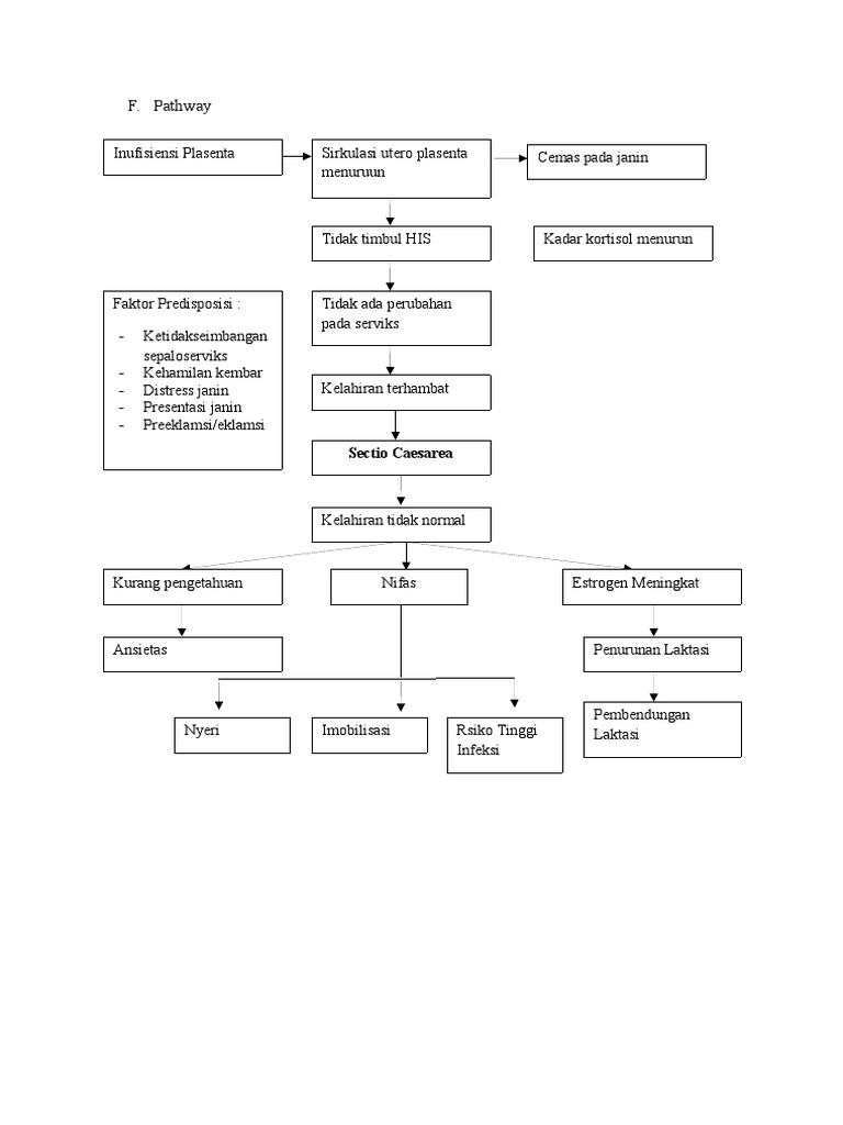 Pathway Sectio Caesarea dan Nifas | PDF | Memasak, Makanan, & Anggur ...