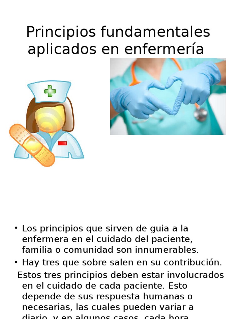 Principios Fundamentales Aplicados En Enfermería Pdf Enfermería