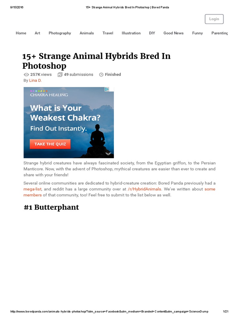 15+ Strange Animal Hybrids Bred in Photoshop - Bored Panda | PDF | Leisure